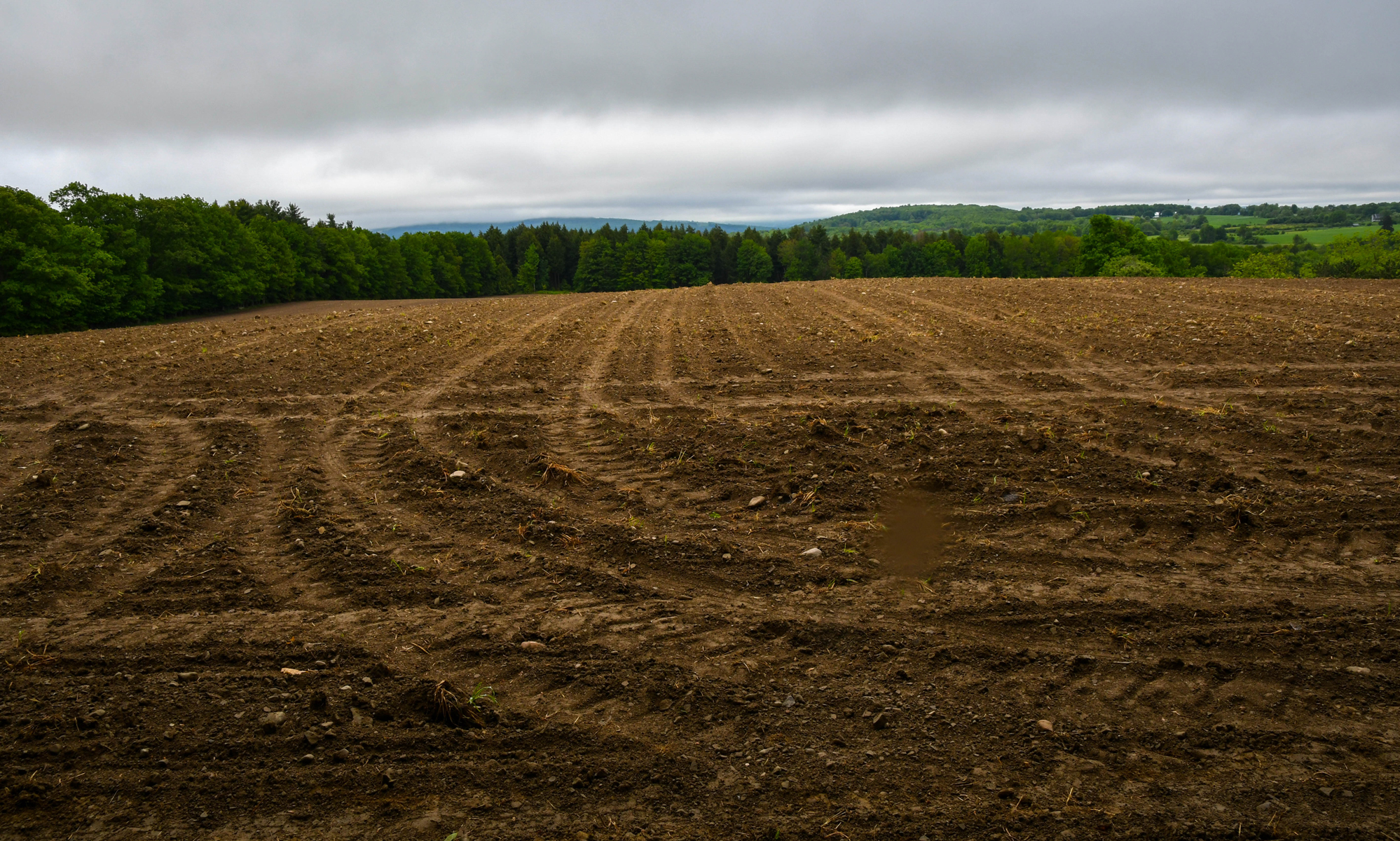 Clearing Your Land for a New Project - Grit